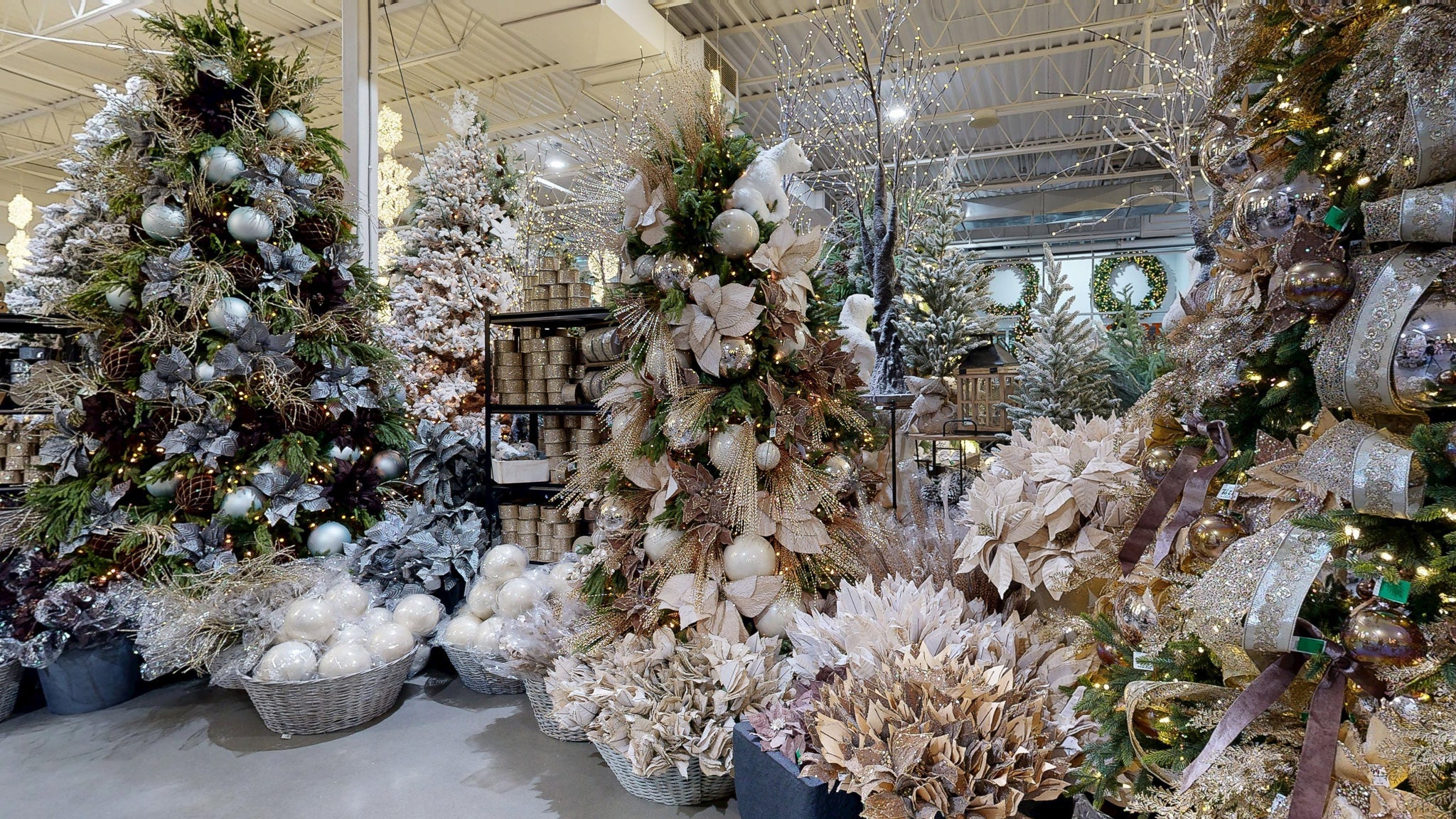 Why our trees shine longer: innovation and quality at the heart of eve ...
